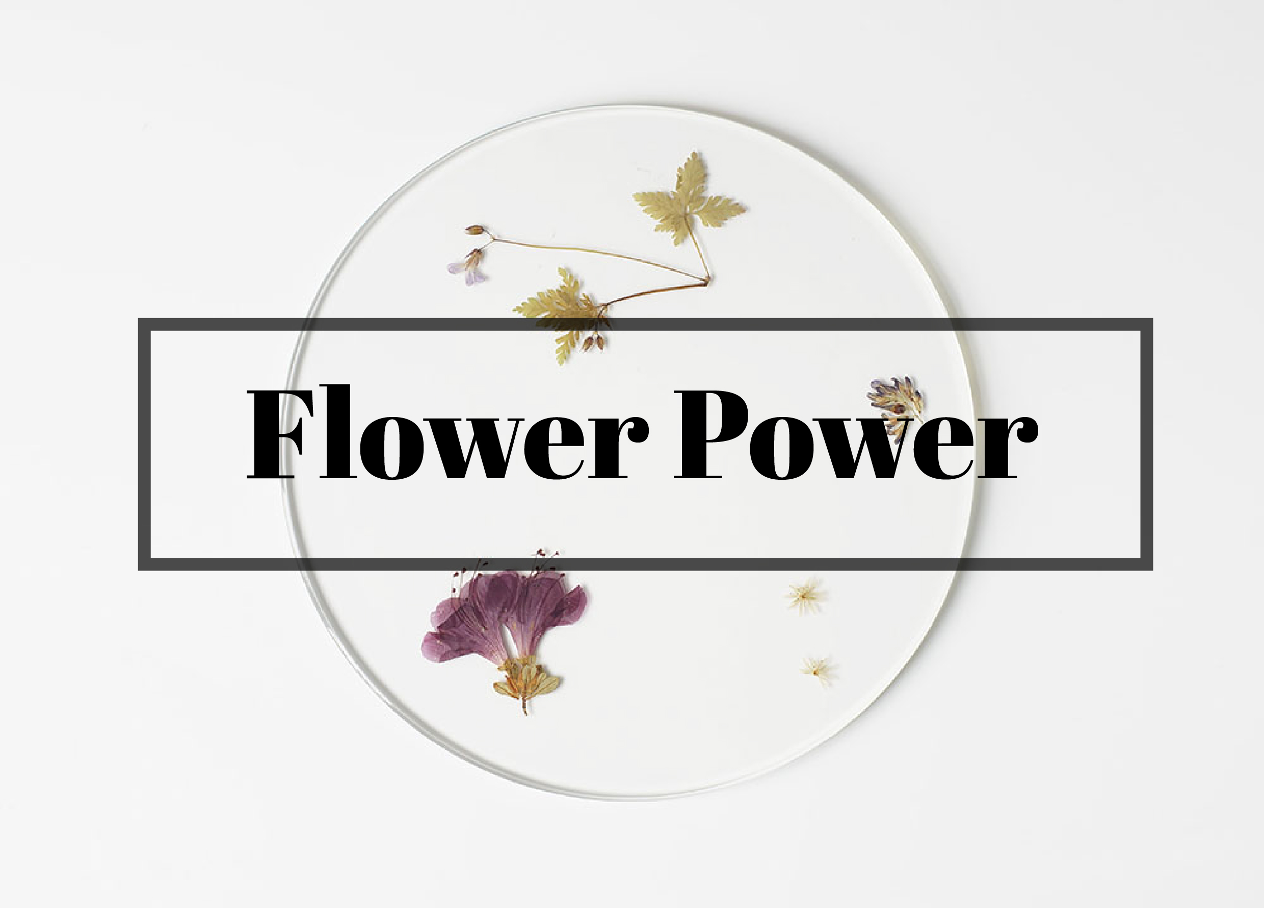 Flower Power Creativehomex